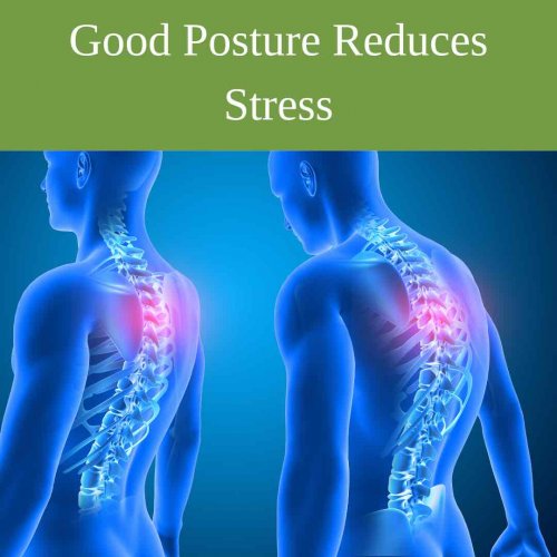 The Impact of Good Posture on Health: Reducing Stress and Enhancing ...